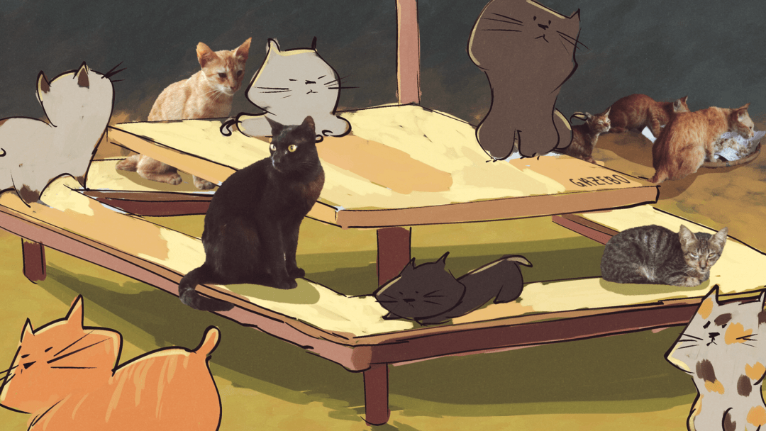 Keeping Up With the CATeneans: A Glimpse in the Life of AdDU's Felines